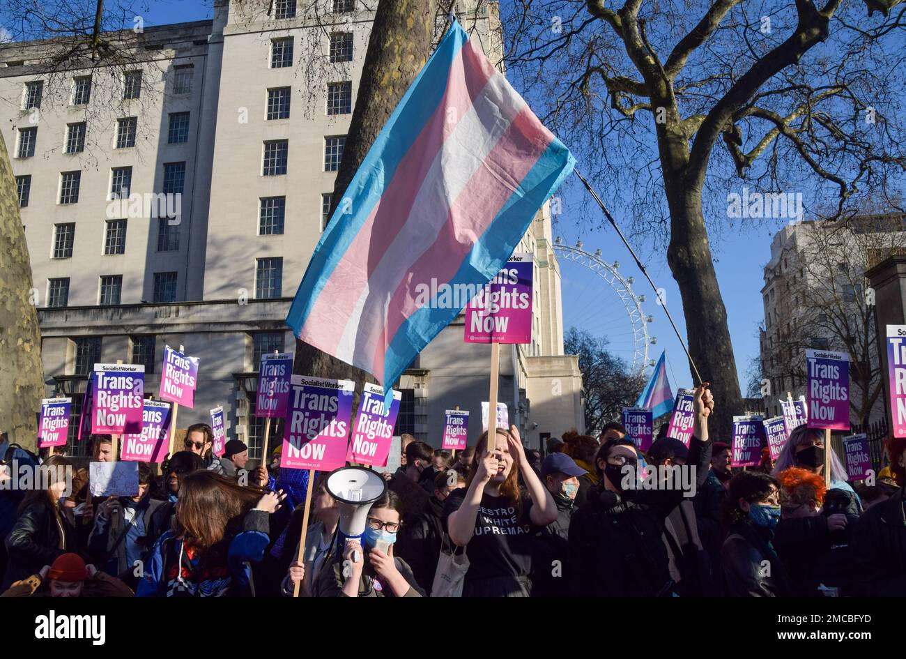 Protesters hold 'Trans rights now' placards and a trans pride flag ...