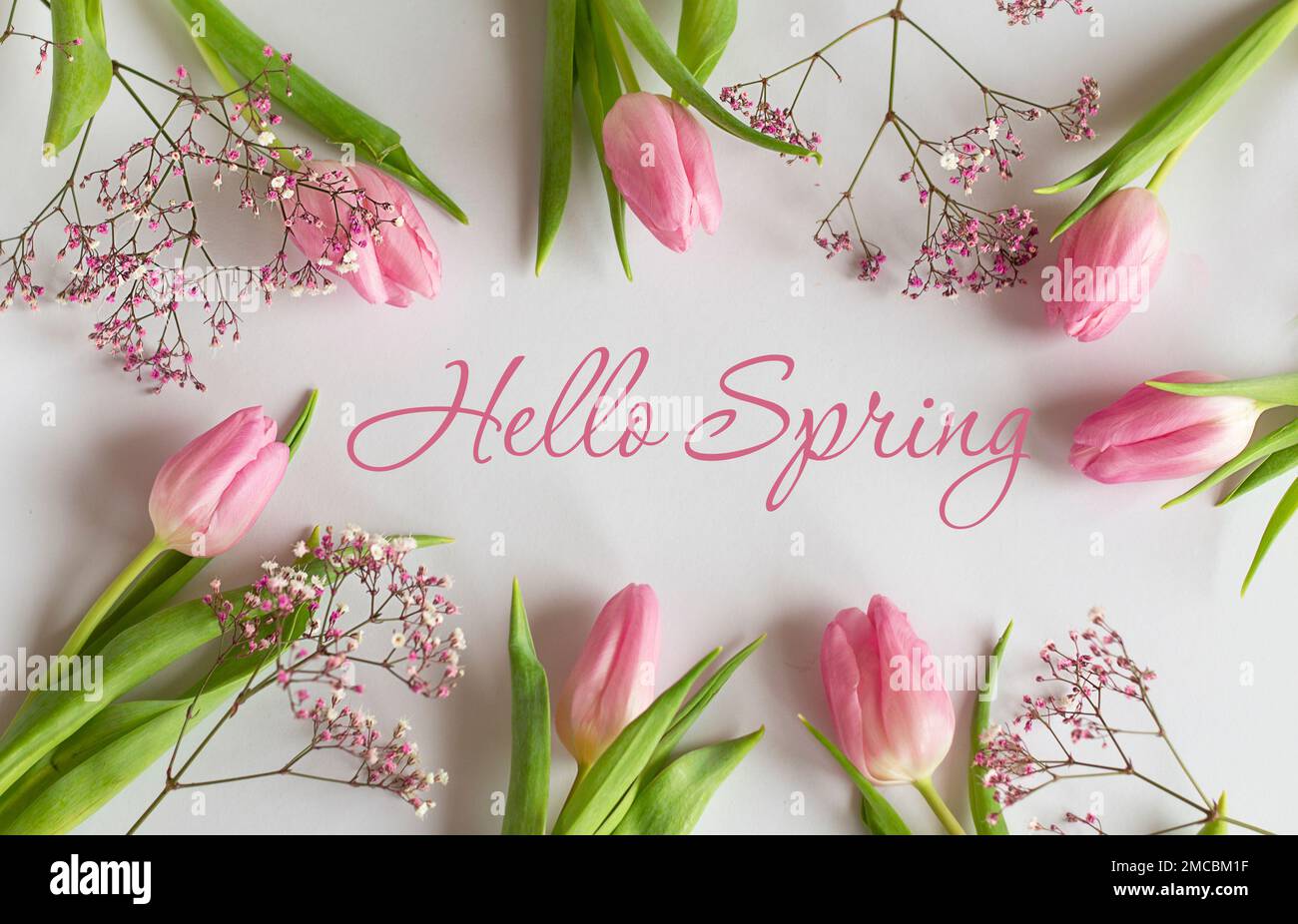 Tulips. Spring background - spring composition of tulips and the ...
