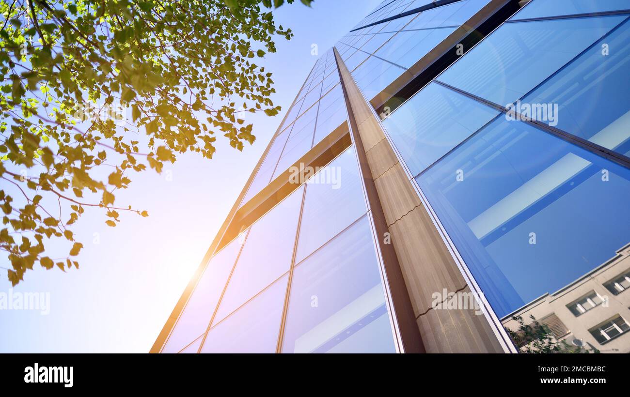 Eco architecture. Green tree and glass office building. The harmony of ...