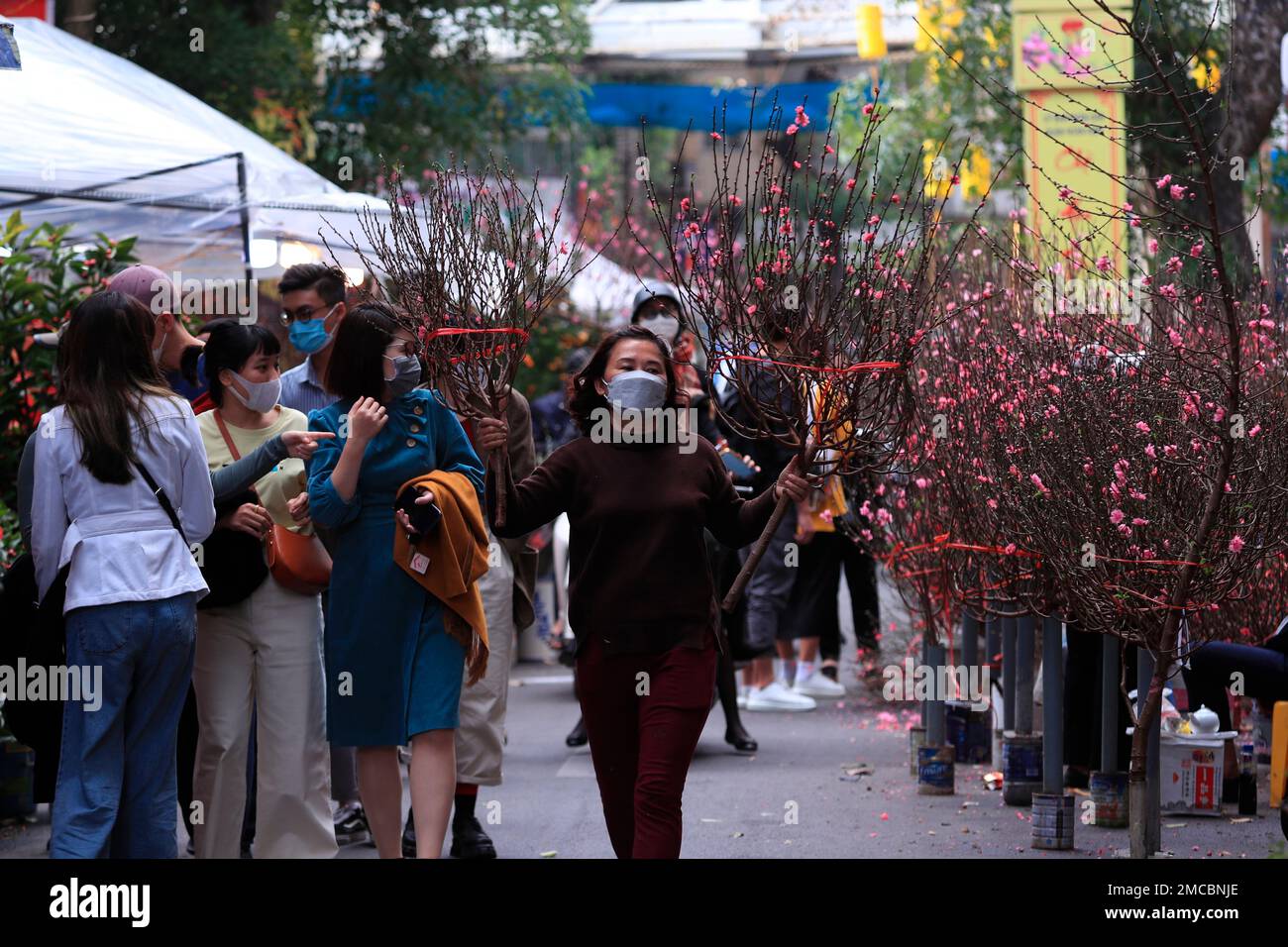 A woman holds branches of peach blossoms at the traditional Lunar New ...