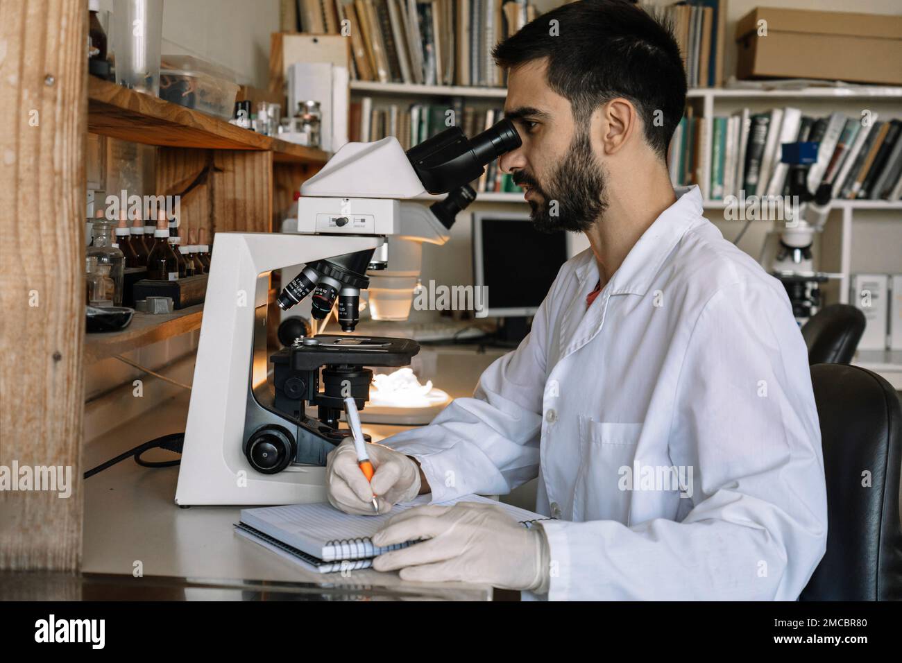 Male scientist looking under microscope, analyzes sample in petri dish ...