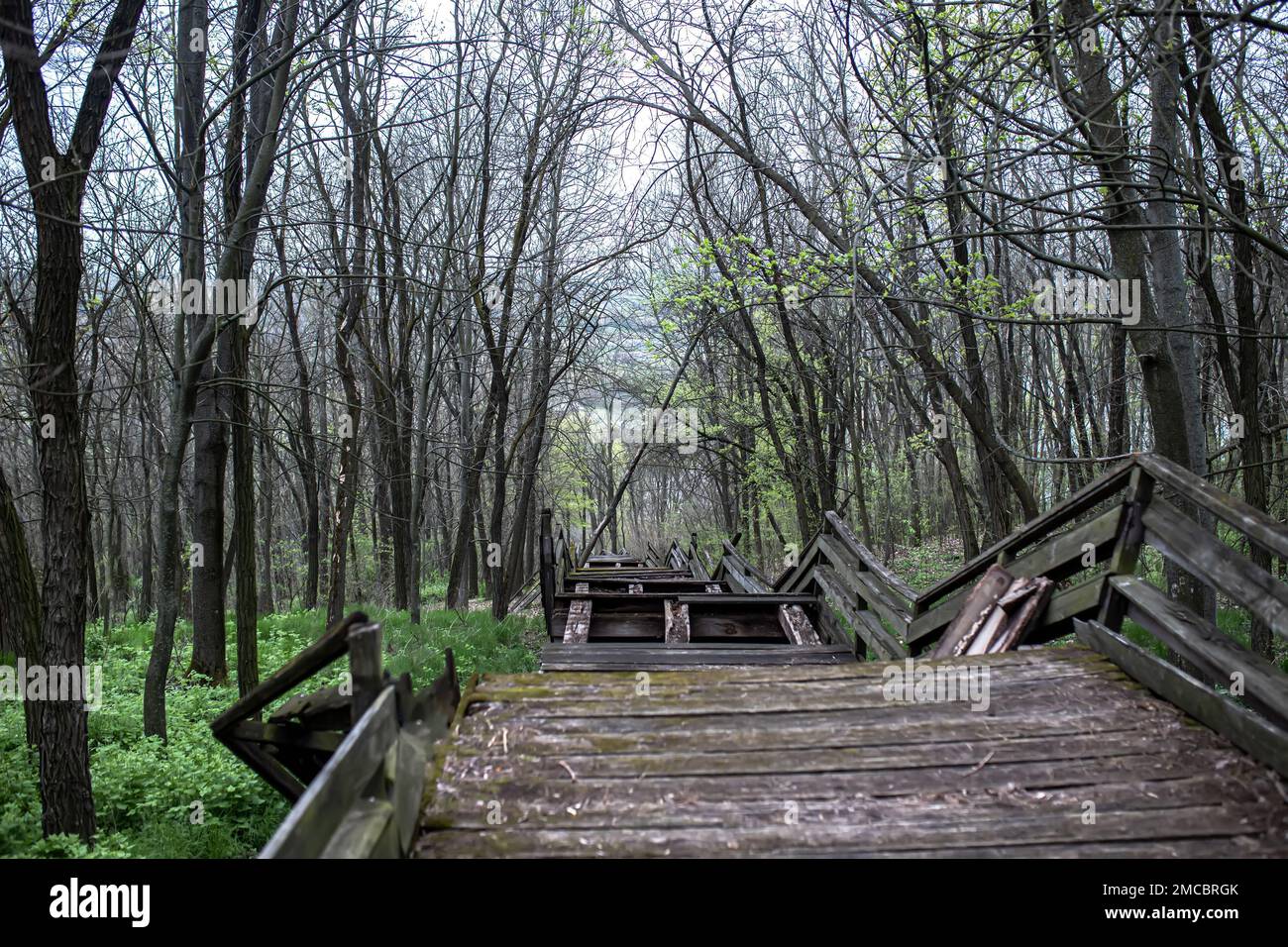 An old wooden bridge with broken chaff and broken railings. An ancient ...
