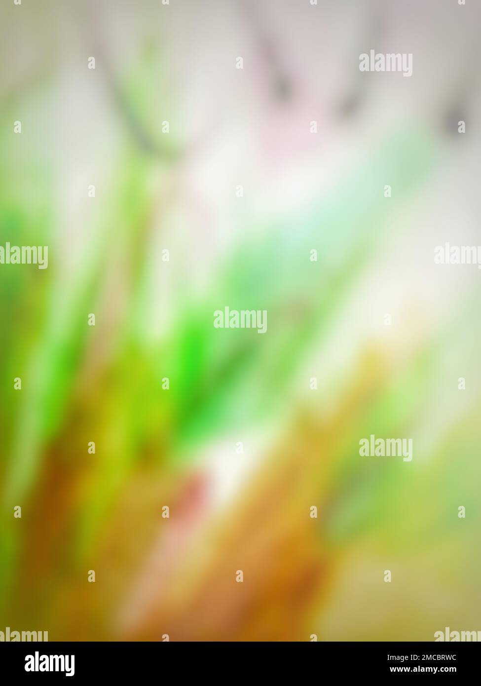 Planet eco green feeling abstract background Stock Photo - Alamy