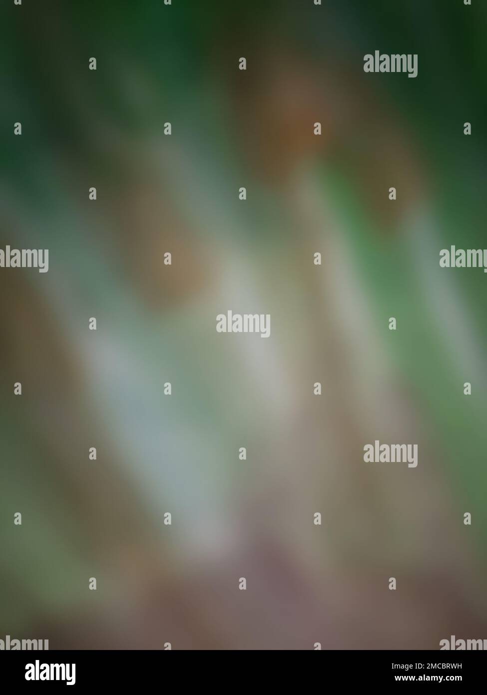 Planet eco green feeling abstract background Stock Photo - Alamy