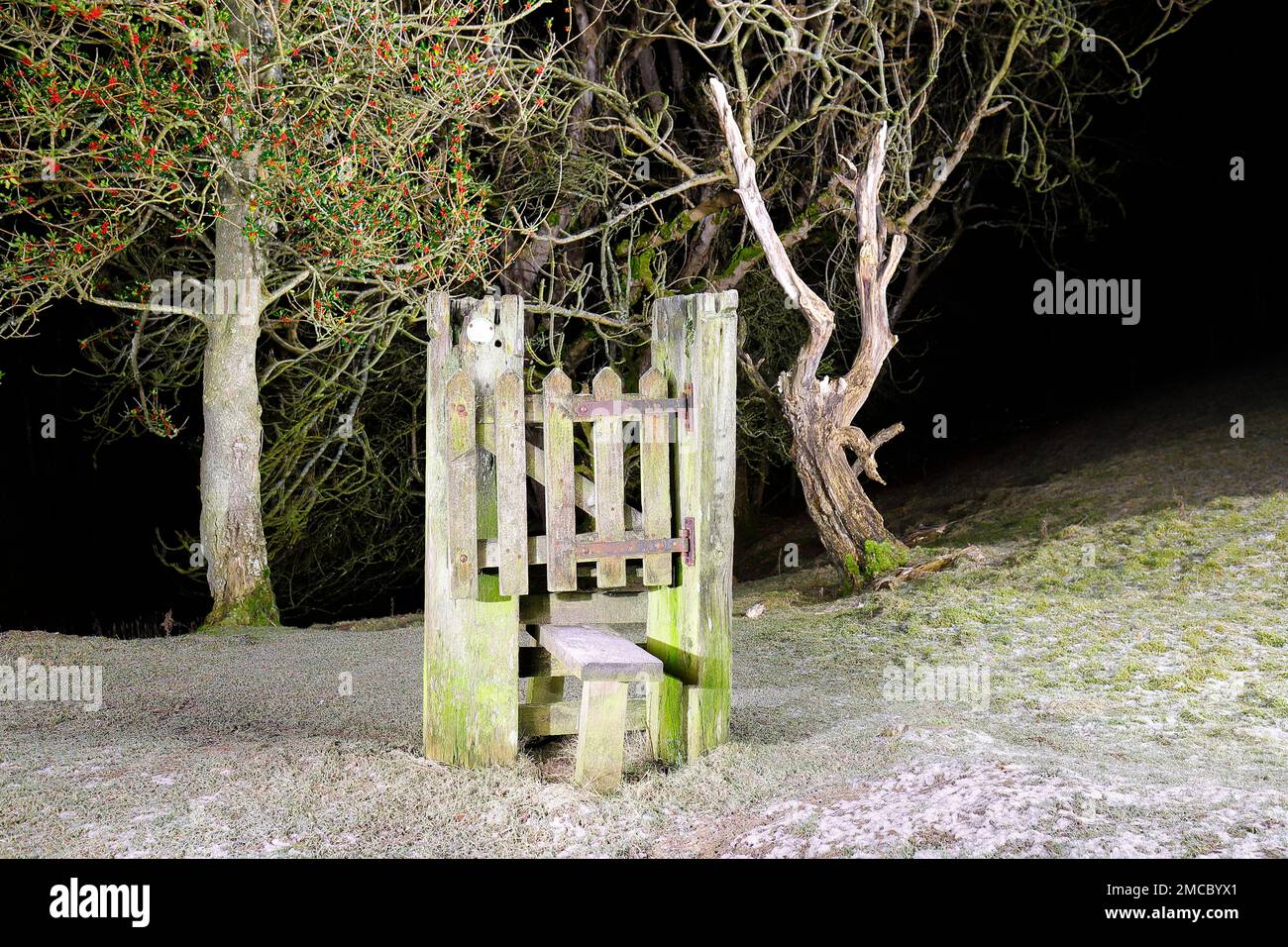 An pointless stile on a footpath in the Aysgarth area of the Yorkshire ...