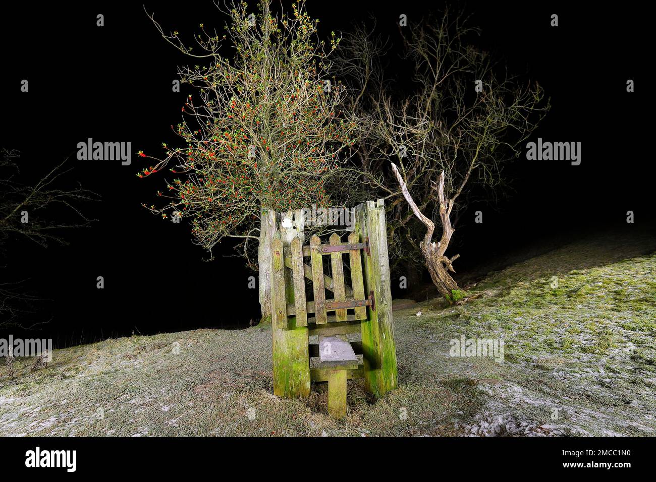 An pointless stile on a footpath in the Aysgarth area of the Yorkshire ...