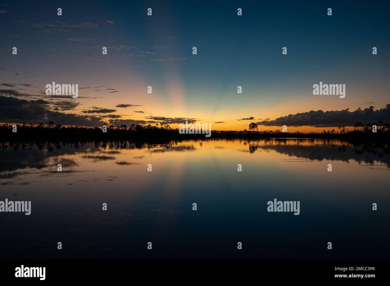 Everglades twilight scene hi-res stock photography and images - Alamy