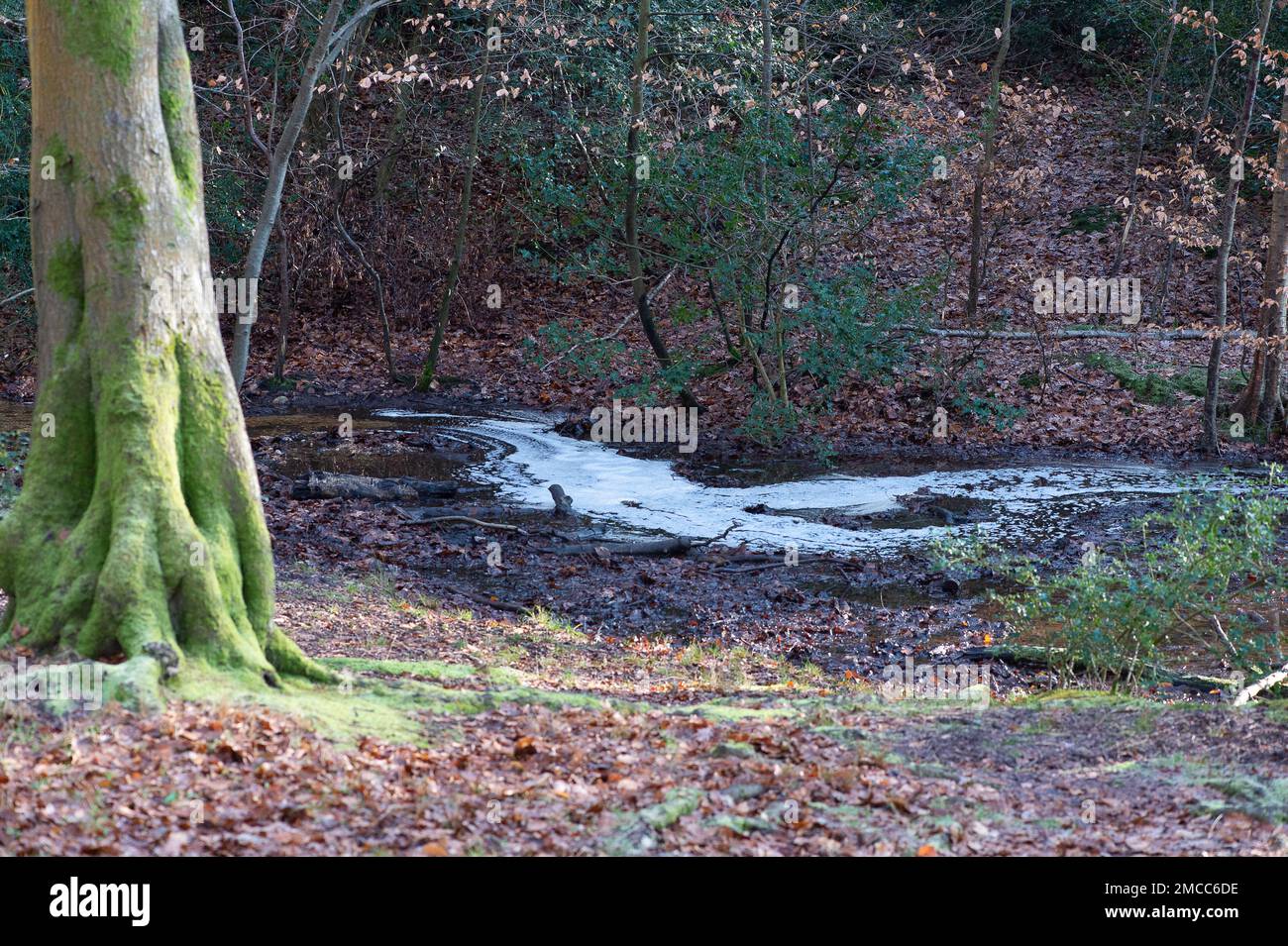 Farnham Common, Buckinghamshire, UK. 21st January, 2023. Pollution on a ...