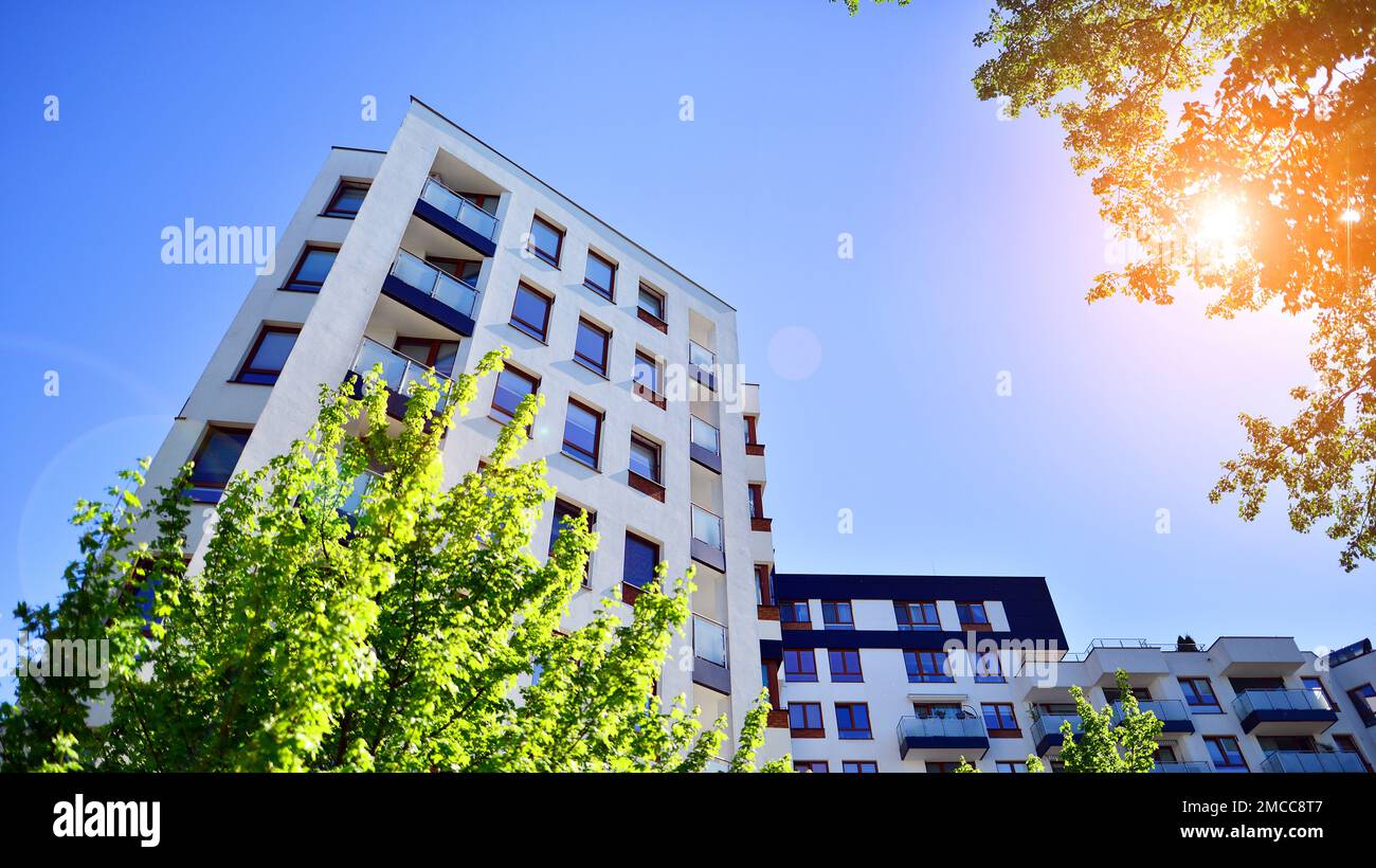 Eco architecture. Green tree and apartment building. The harmony of ...