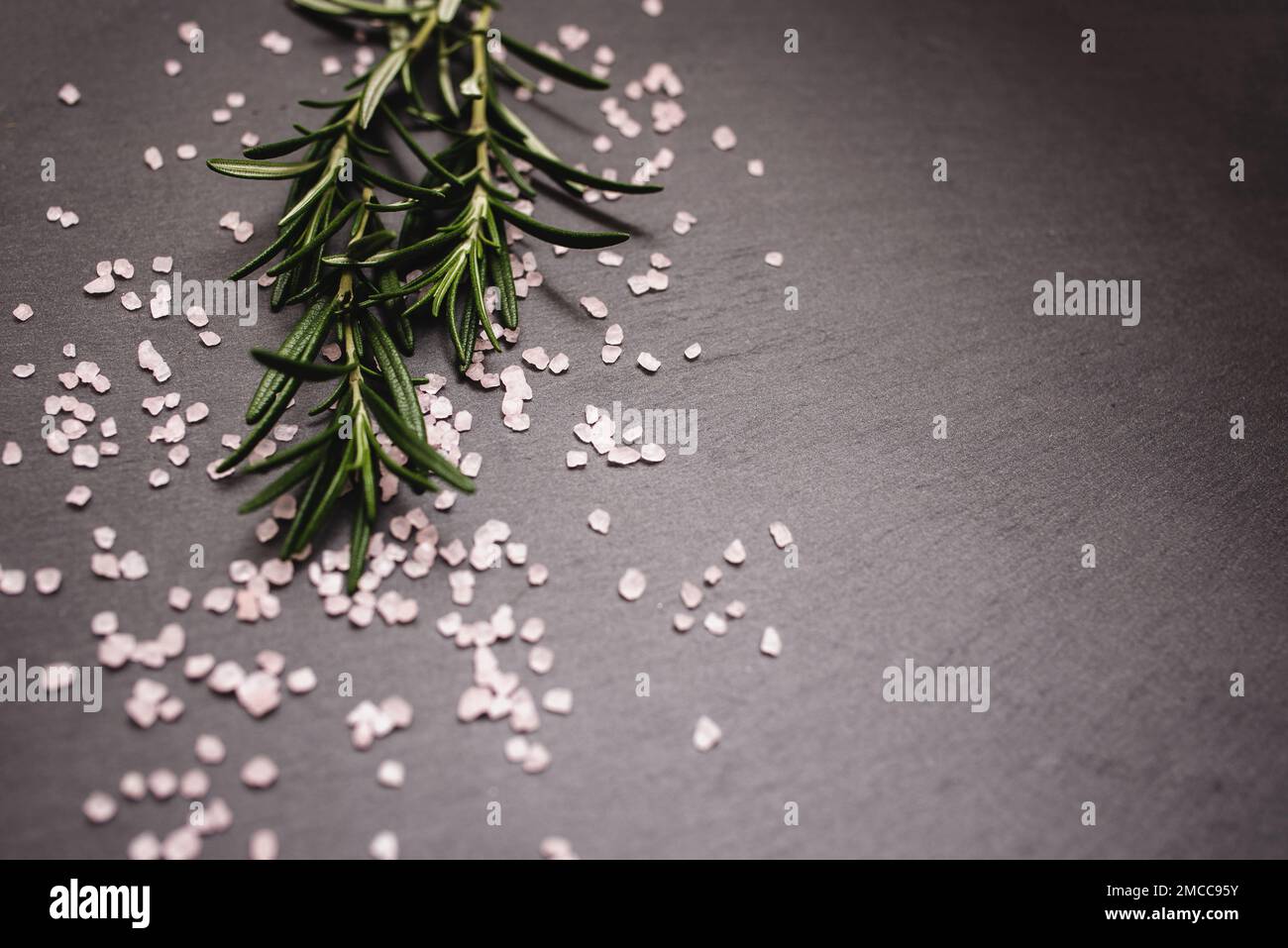 Rosemary herb with pink salt on a gray slate board. Set of various ...