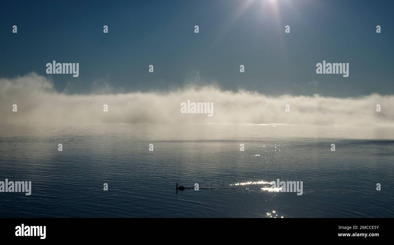 Aerial video beautiful ocean waves hi-res stock photography and images - Alamy