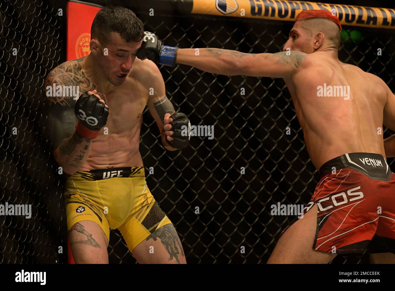 Marcos oliveira hi-res stock photography and images - Alamy