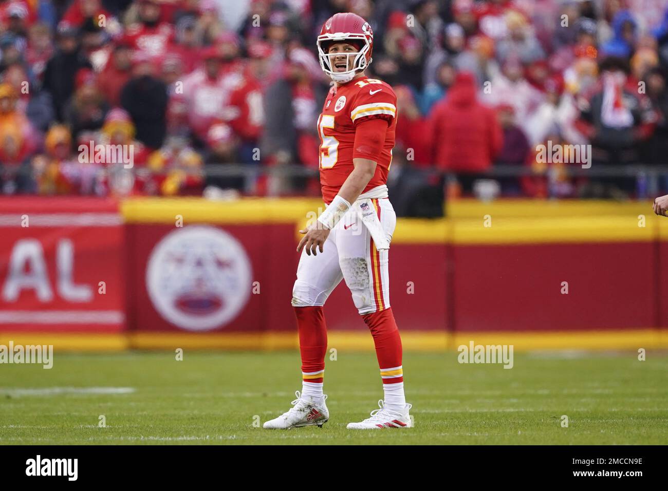 Divisional championship jaguars hi-res stock photography and images - Alamy