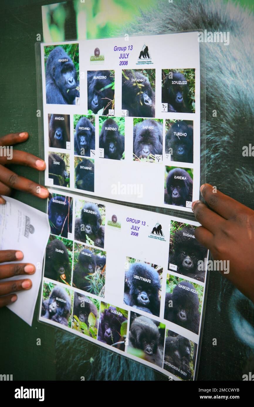 Virunga National Park Mountain Gorilla Rangers with Dancers in Rwanda ...