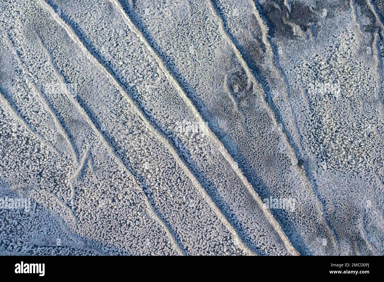 Chittagong, Chattogram, Bangladesh. 12th Jan, 2023. A farmer unloads ...