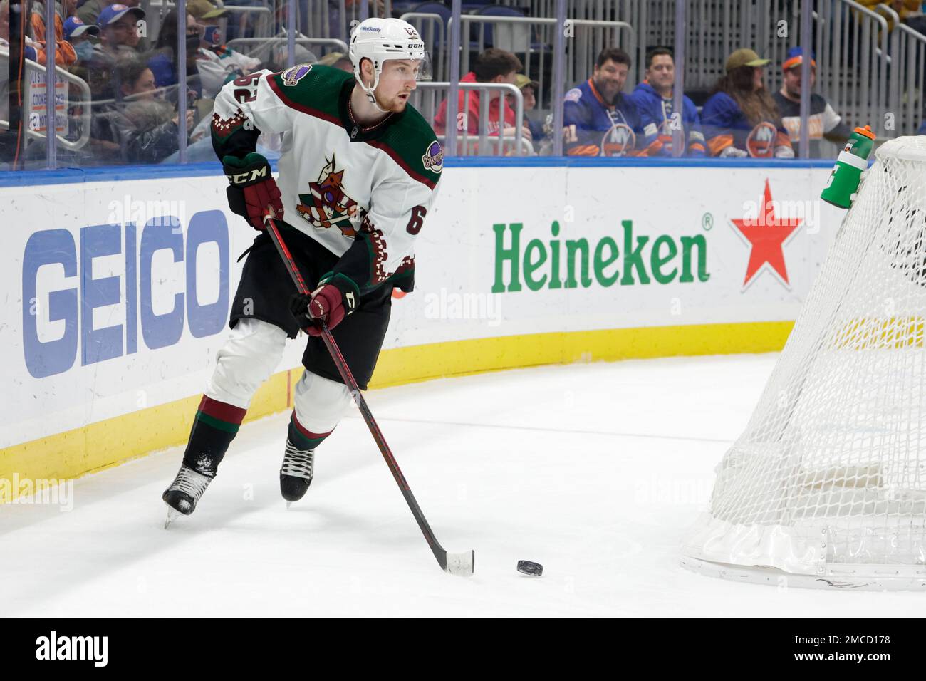 Arizona Coyotes defenseman Janis Moser (62) skates around the goal ...