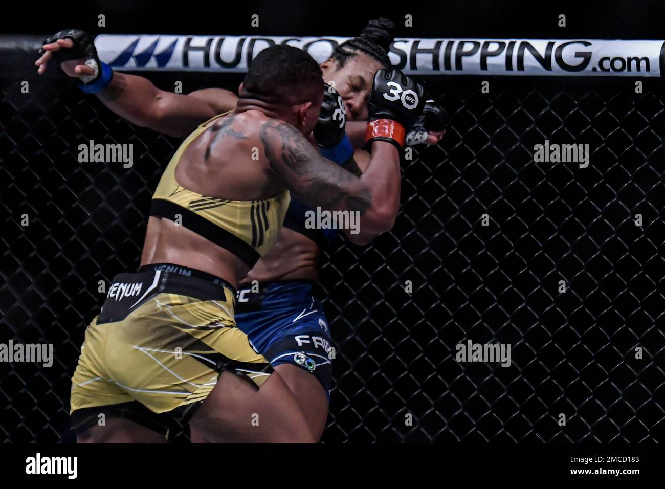 Zarah fairn dos santos hi-res stock photography and images - Alamy