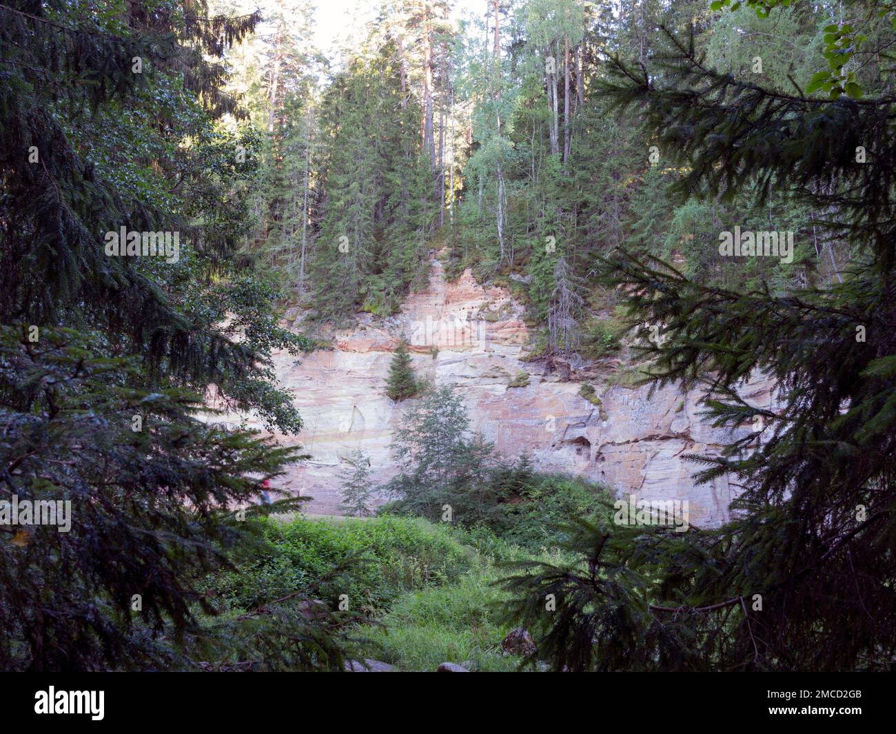 Springboard on shore of lake. Beautiful idylic scene. trees are ...