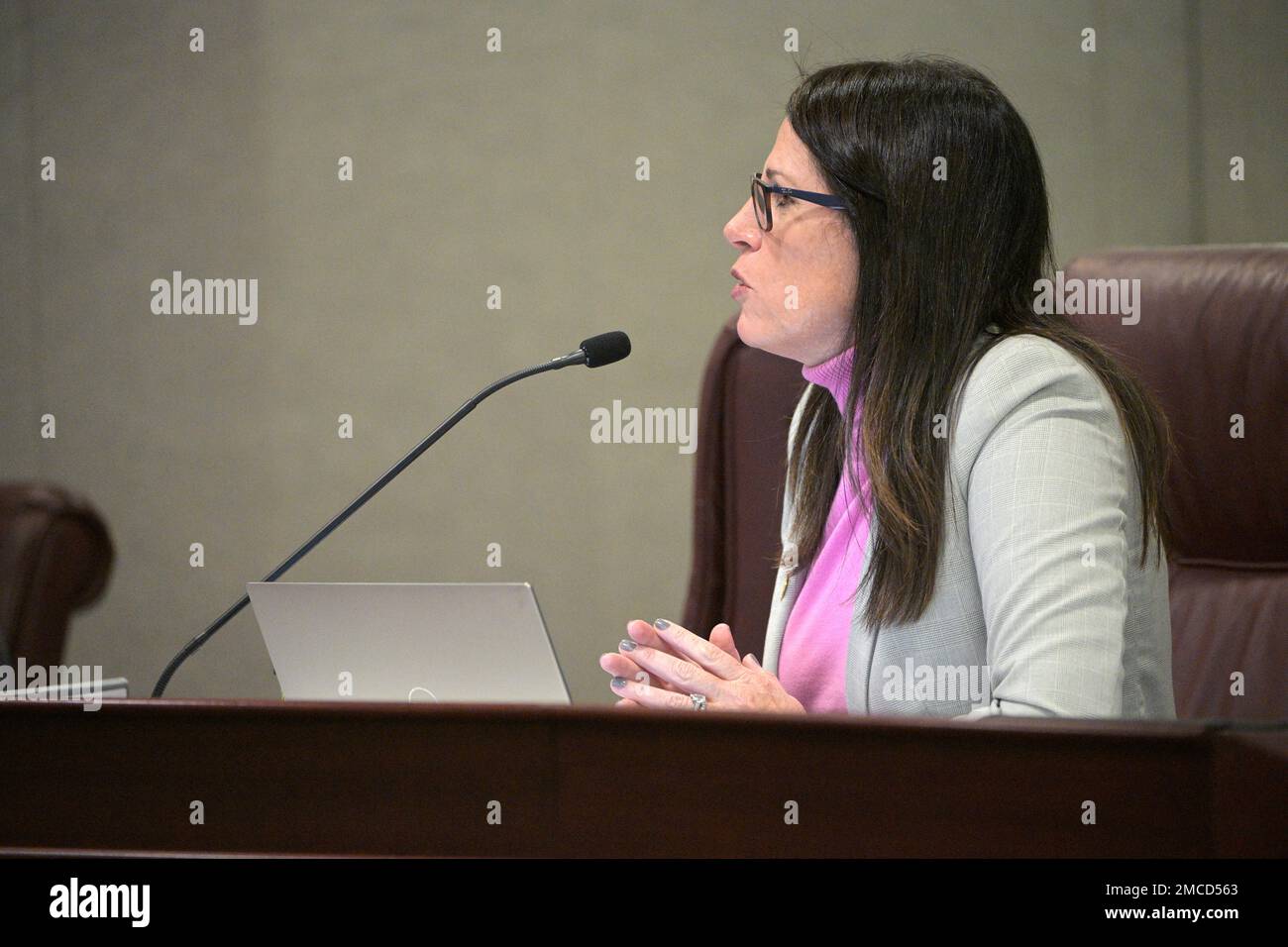 Florida Sen. Tina Polsky makes a point during a Senate Community ...