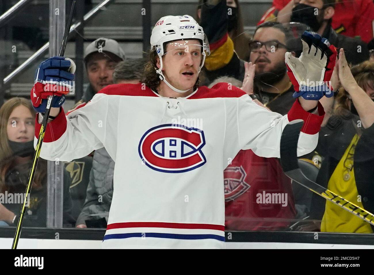 Montreal Canadiens left wing Michael Pezzetta (55) celebrates after ...