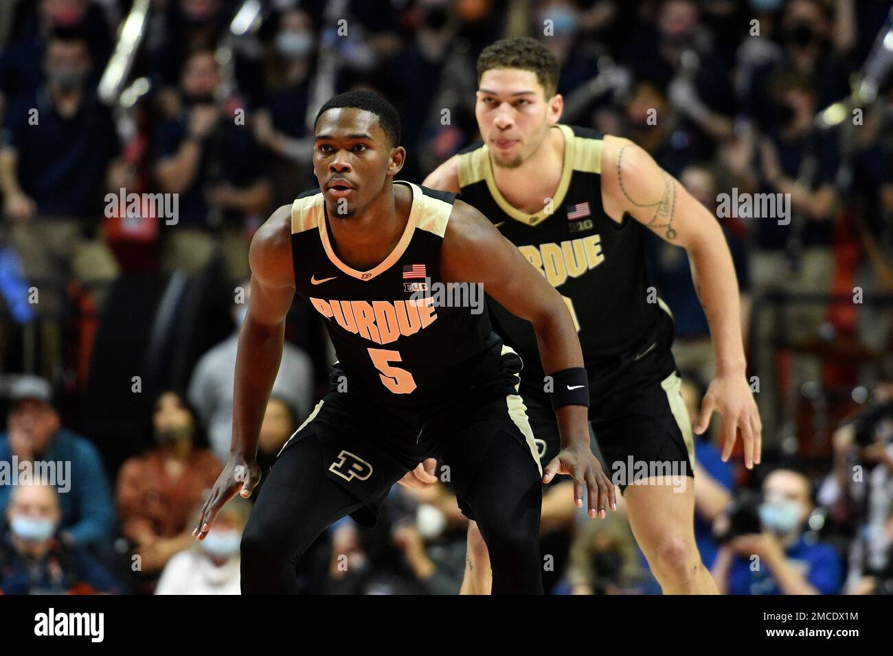 Brandon newman hi-res stock photography and images - Alamy