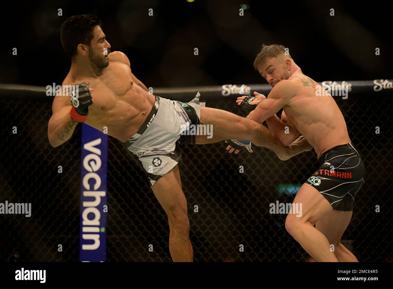 Rio De Janeiro, Brazil. 21st Jan, 2023. Luan Lacerda faces Cody Stamann ...