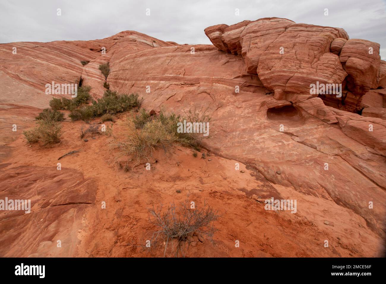 Fire Wave is a popular geological formation in Valley of Fire State ...