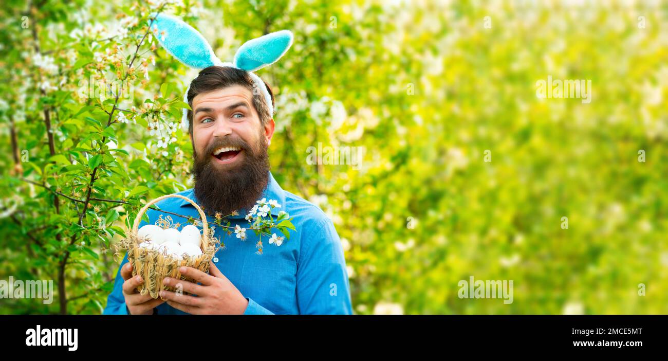 Funny man in rabbit costume hold easter eggs. Bearded man holding ...