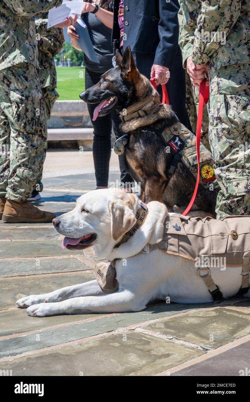 Sully hospital hi-res stock photography and images - Alamy