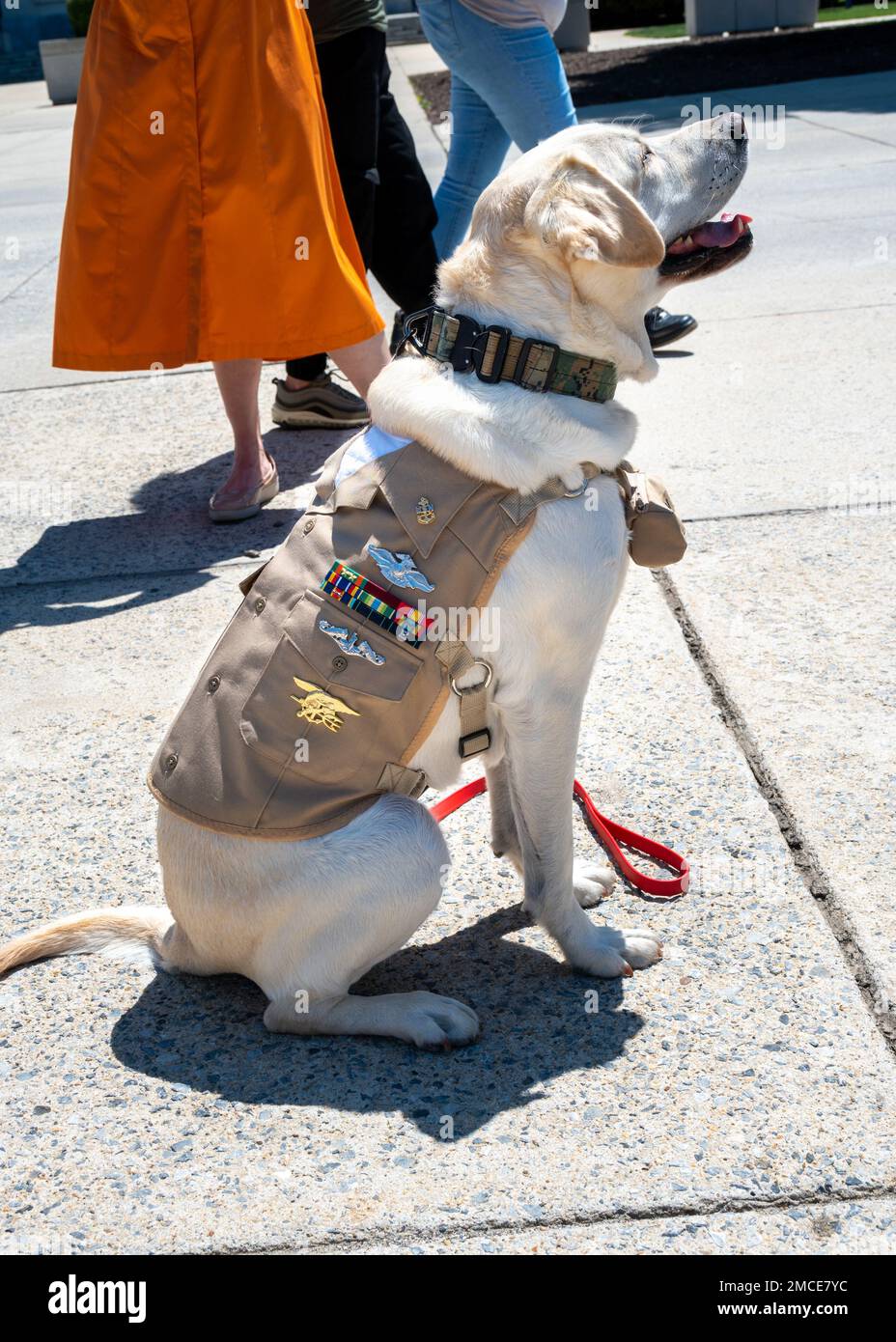 Hm3 luke hi-res stock photography and images - Alamy