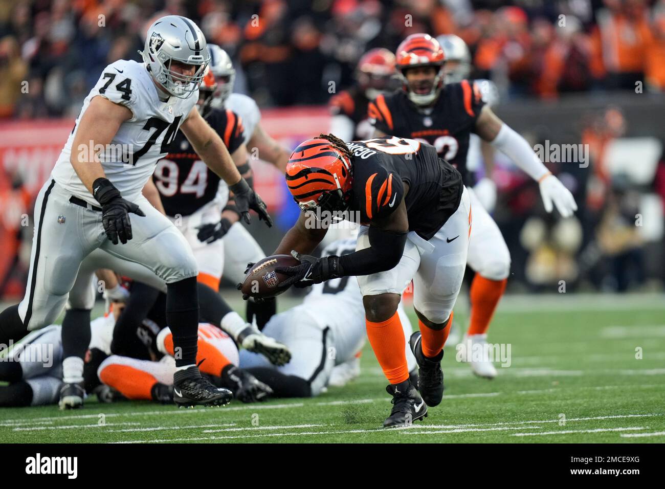 Cincinnati Bengals' Larry Ogunjobi runs after recovering a fumble ...