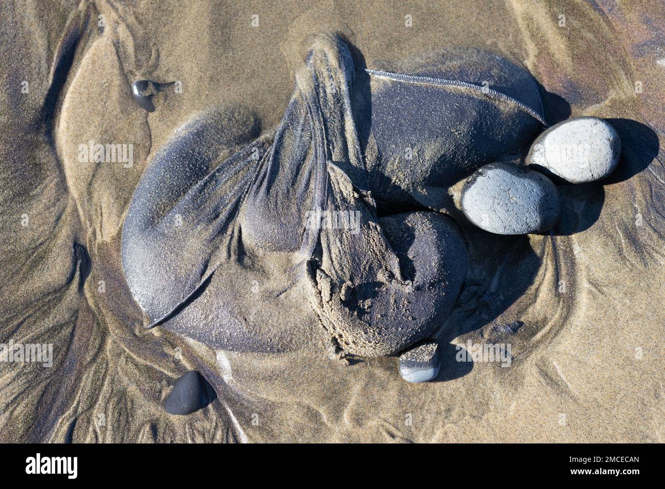 A shirt washed up on a beach Stock Photo - Alamy