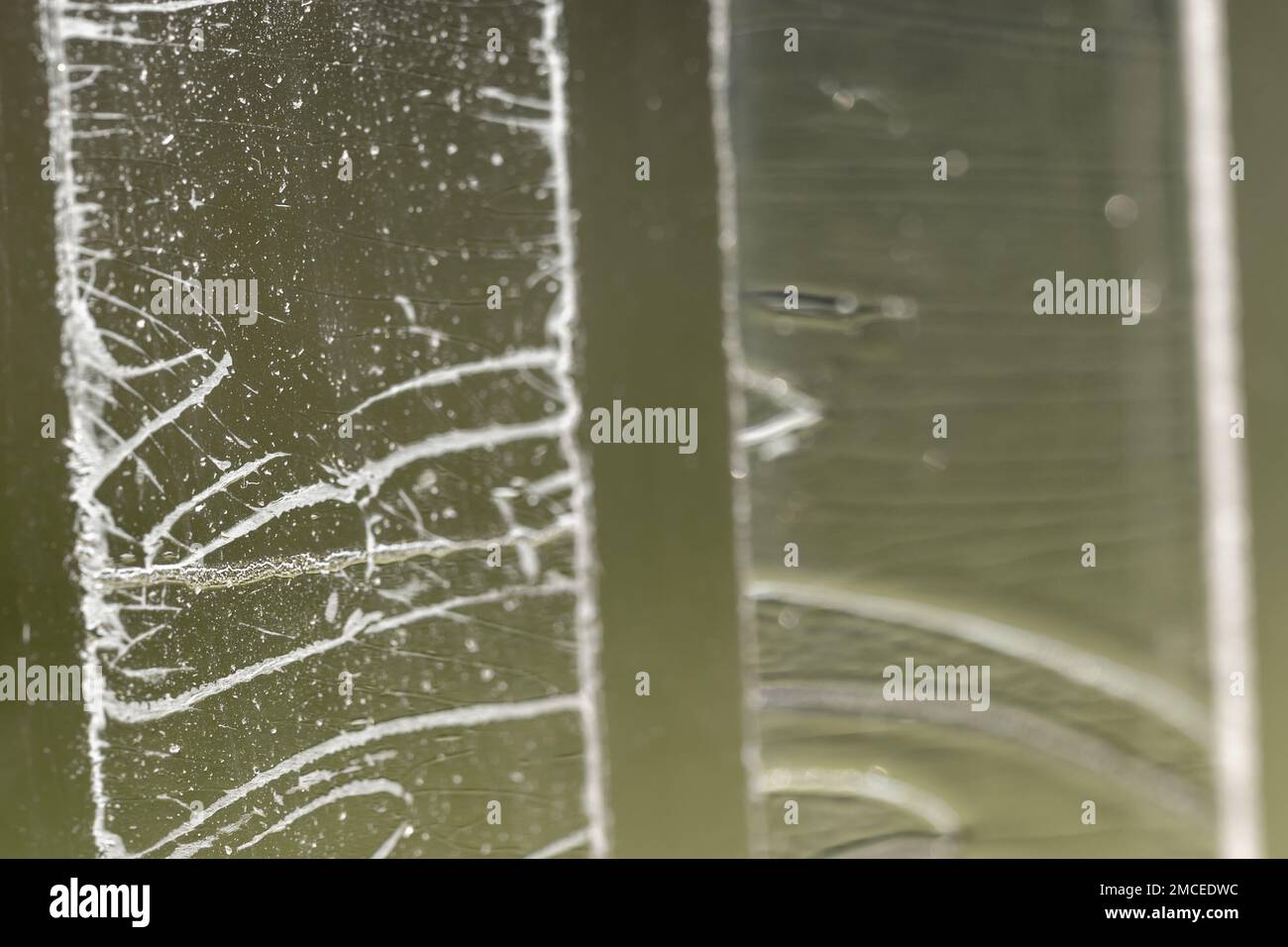 Strip of tape adhesive on a glass surface after being pulled Stock ...