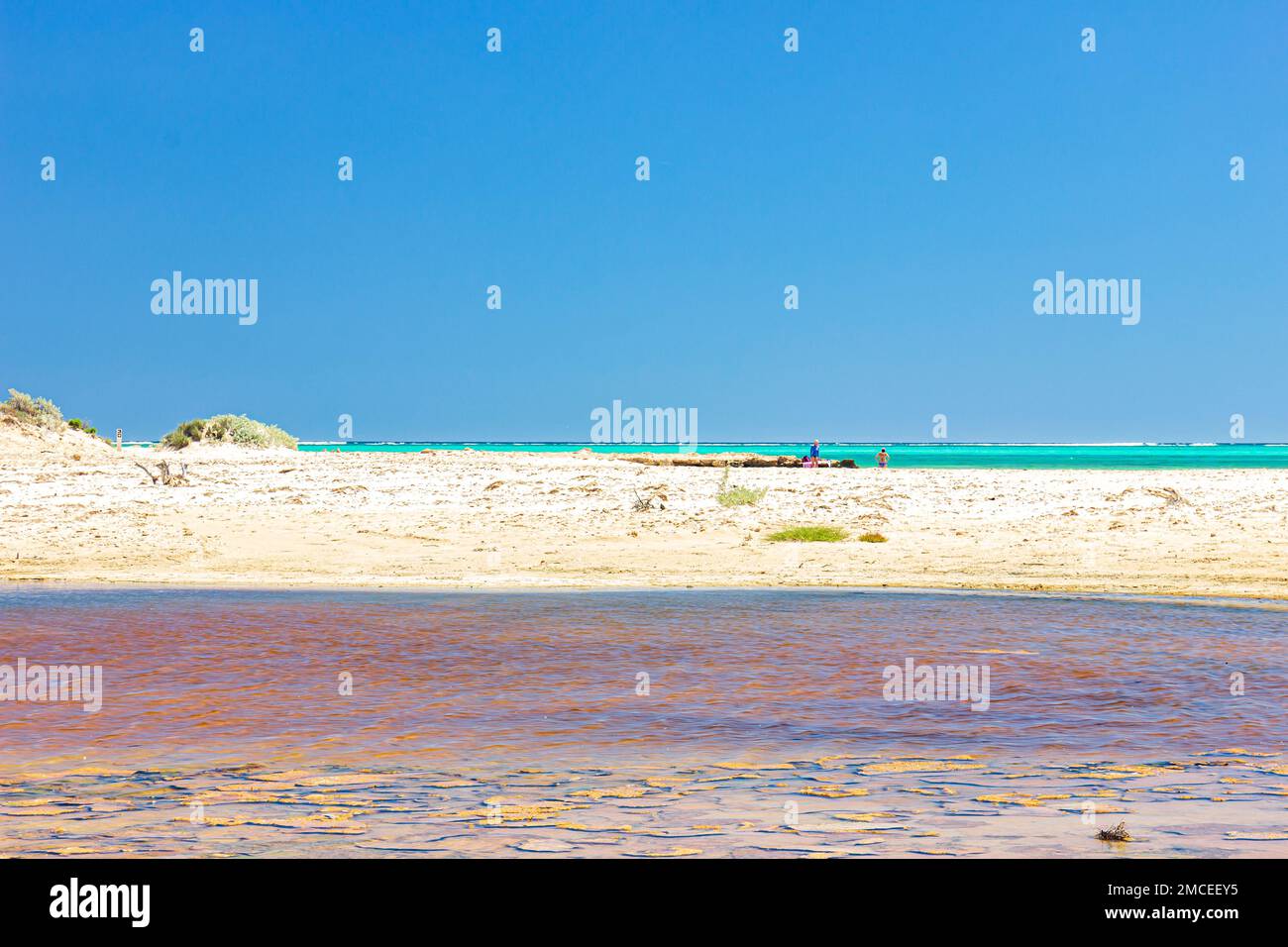 A view of pool, beach and sea at Lakeside Beach in Cape Range National ...
