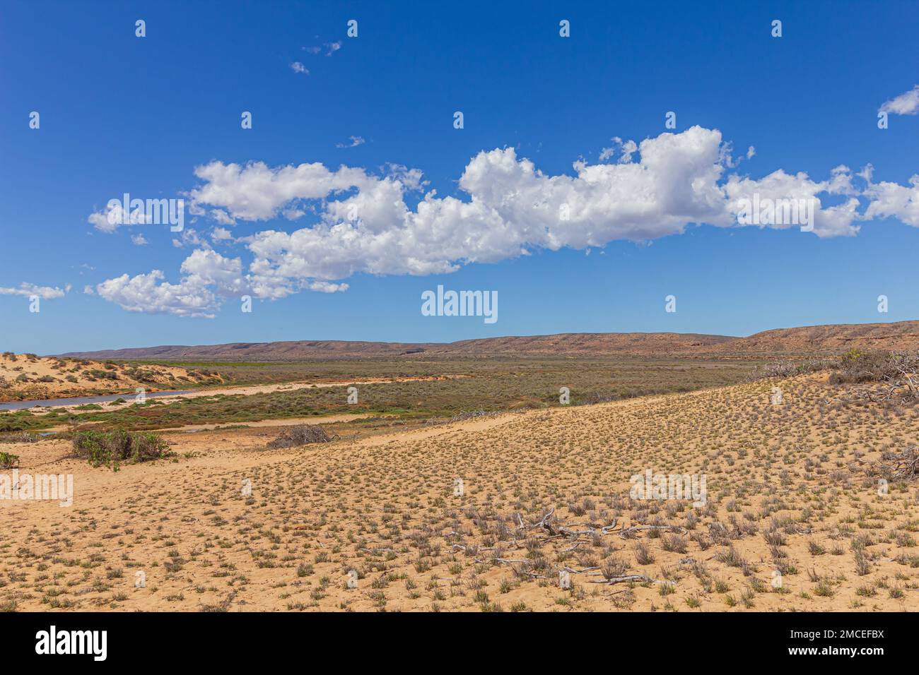 Arid coastal landscape with bush vegetation at Bloodwood Creek in Cape ...