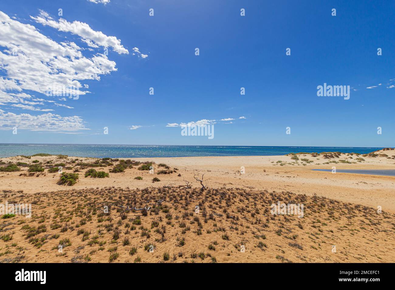 Arid coastal landscape with bush vegetation at Bloodwood Creek in Cape ...