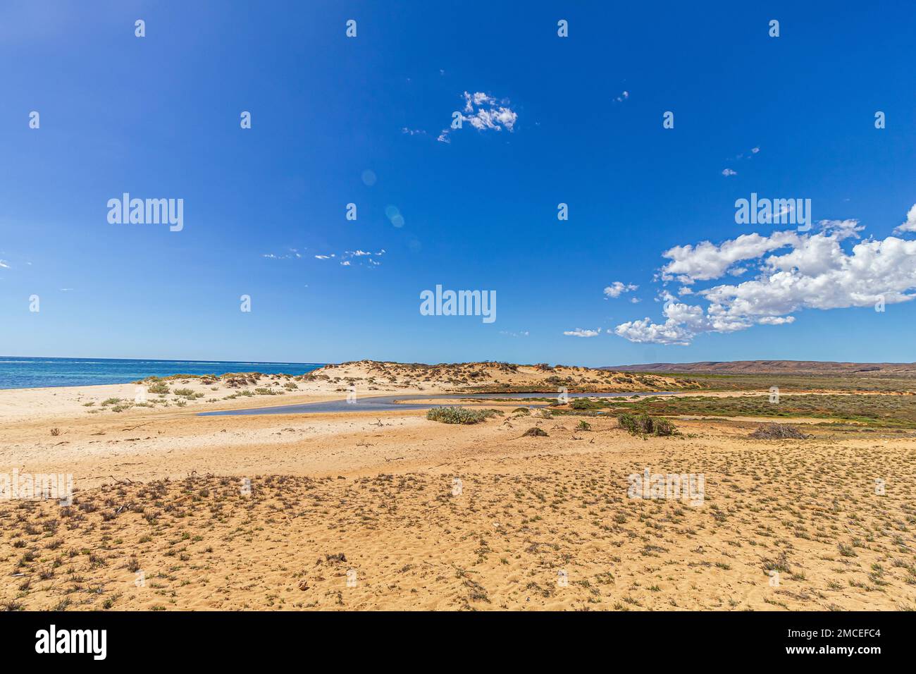 Arid coastal landscape with bush vegetation at Bloodwood Creek in Cape ...