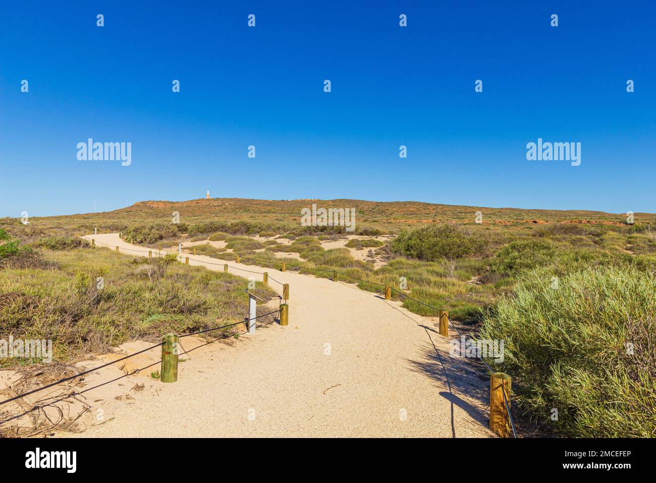 Walking path through bush vegetation at Jurabi Turtle Centre in Cape ...