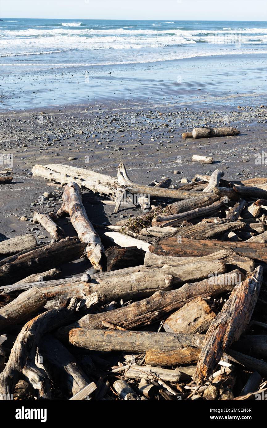 Trees washed up on a beach in Newport, Oregon, after a winter storm ...
