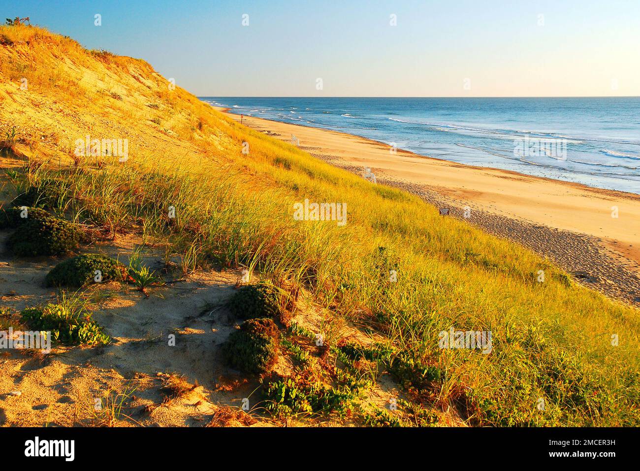 The first rays of light strike the grassy dunes of Cape Cod Stock Photo ...