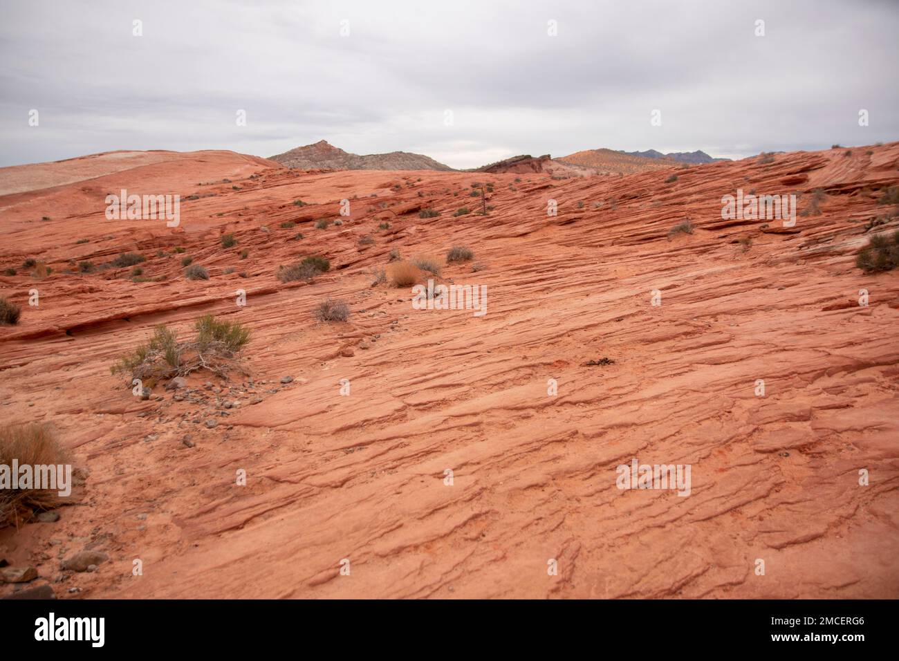 Fire Wave is a fascinating sandstone formation in Valley of Fire State ...