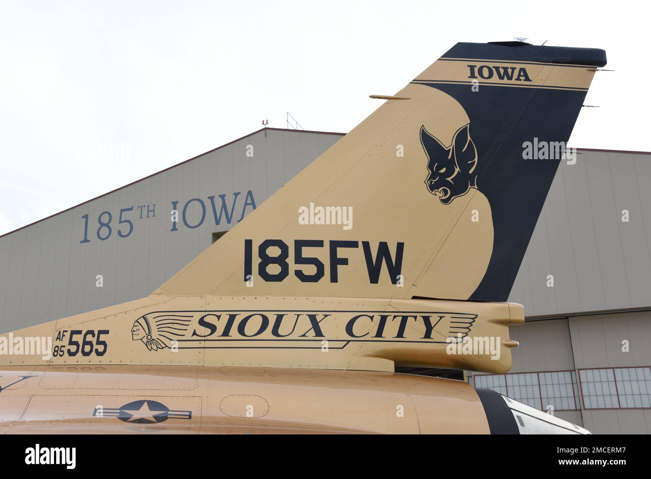 A gold U.S. Air Force F-16A Falcon from the Iowa Air National Guard is ...