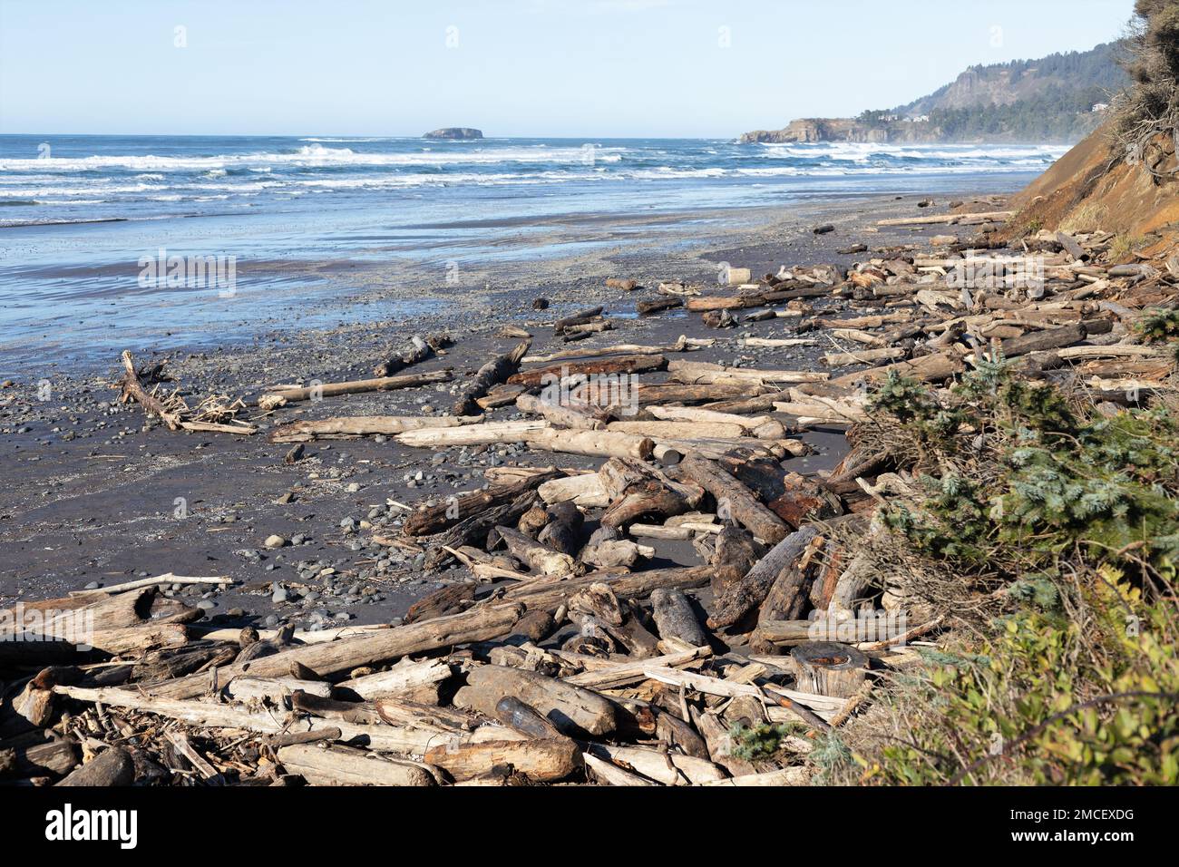 Trees washed up on a beach in Newport, Oregon, after a winter storm ...