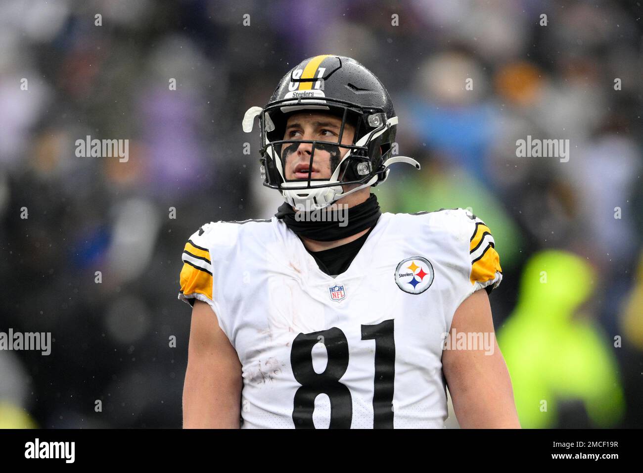 Pittsburgh Steelers tight end Zach Gentry (81) looks on during the ...