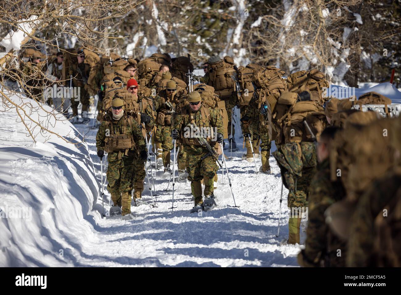 U.S. Marines with 2d Battalion, 8th Marine Regiment, 2d Marine Division ...