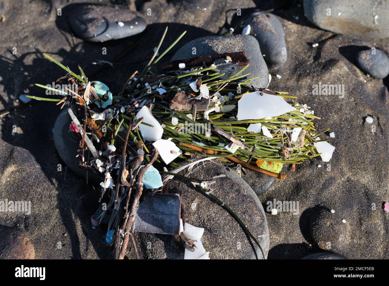 Small particles of plastic washed up on a beach in Newport, Oregon ...
