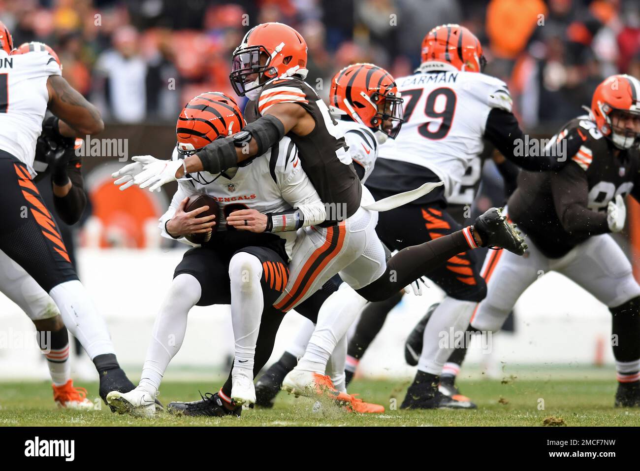 Cleveland Browns linebacker Jacob Phillips (50) sacks Cincinnati ...