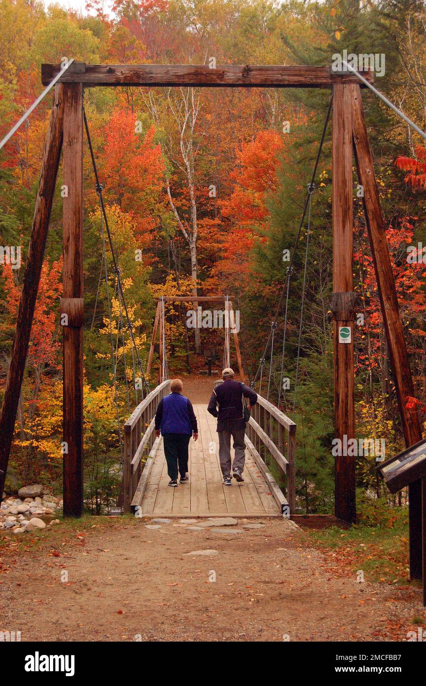Two senior adults cross a pedestrian suspension bridge during fall in ...