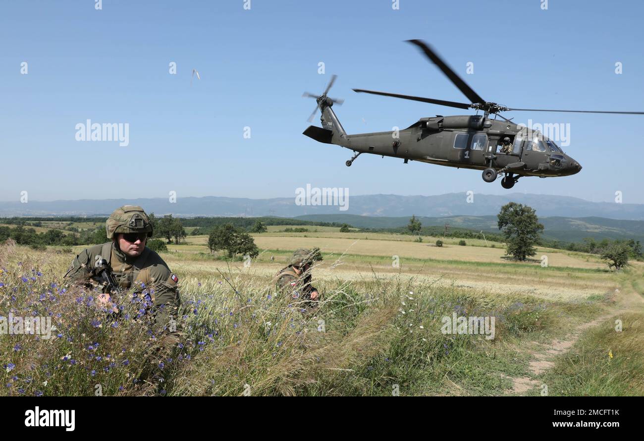 U.S. Army Soldiers from Task Force Pegasus conduct an air assault ...