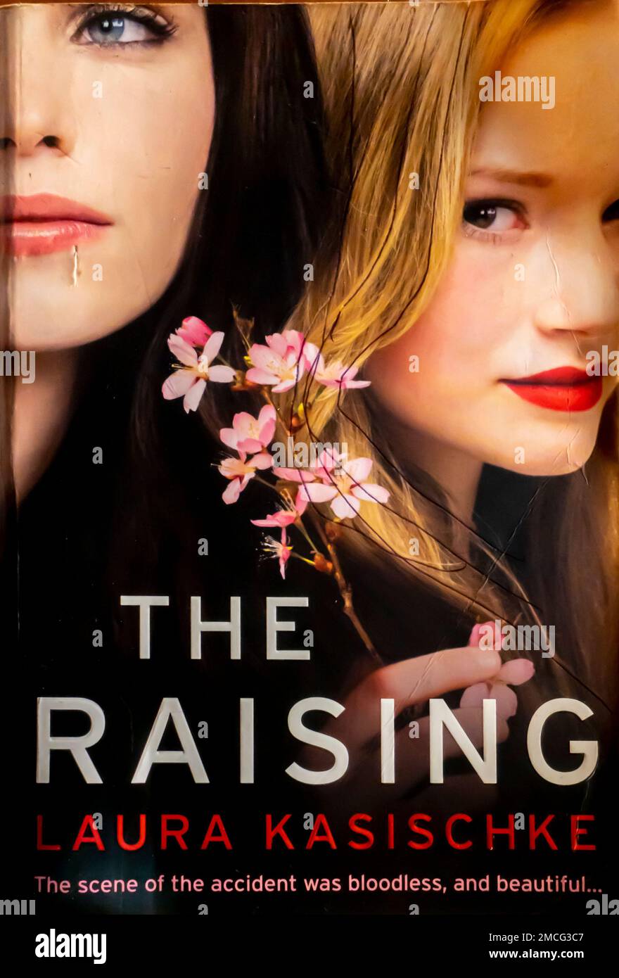 Laura kasischke hi-res stock photography and images - Alamy